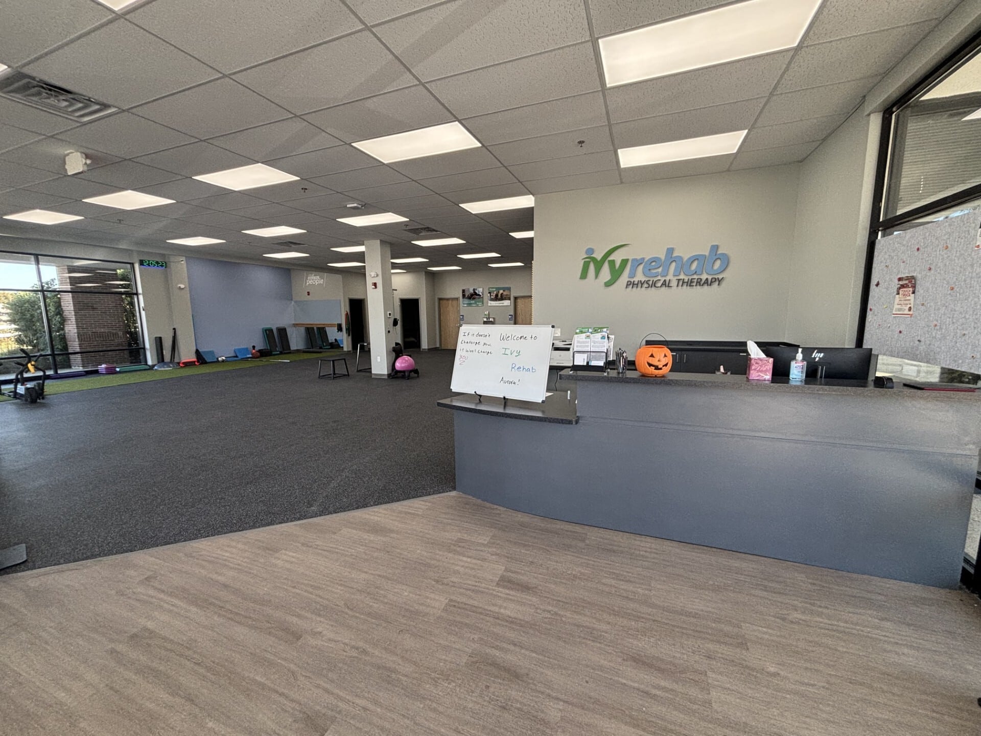 Physical Therapy in Aurora, IL | Ivy Rehab